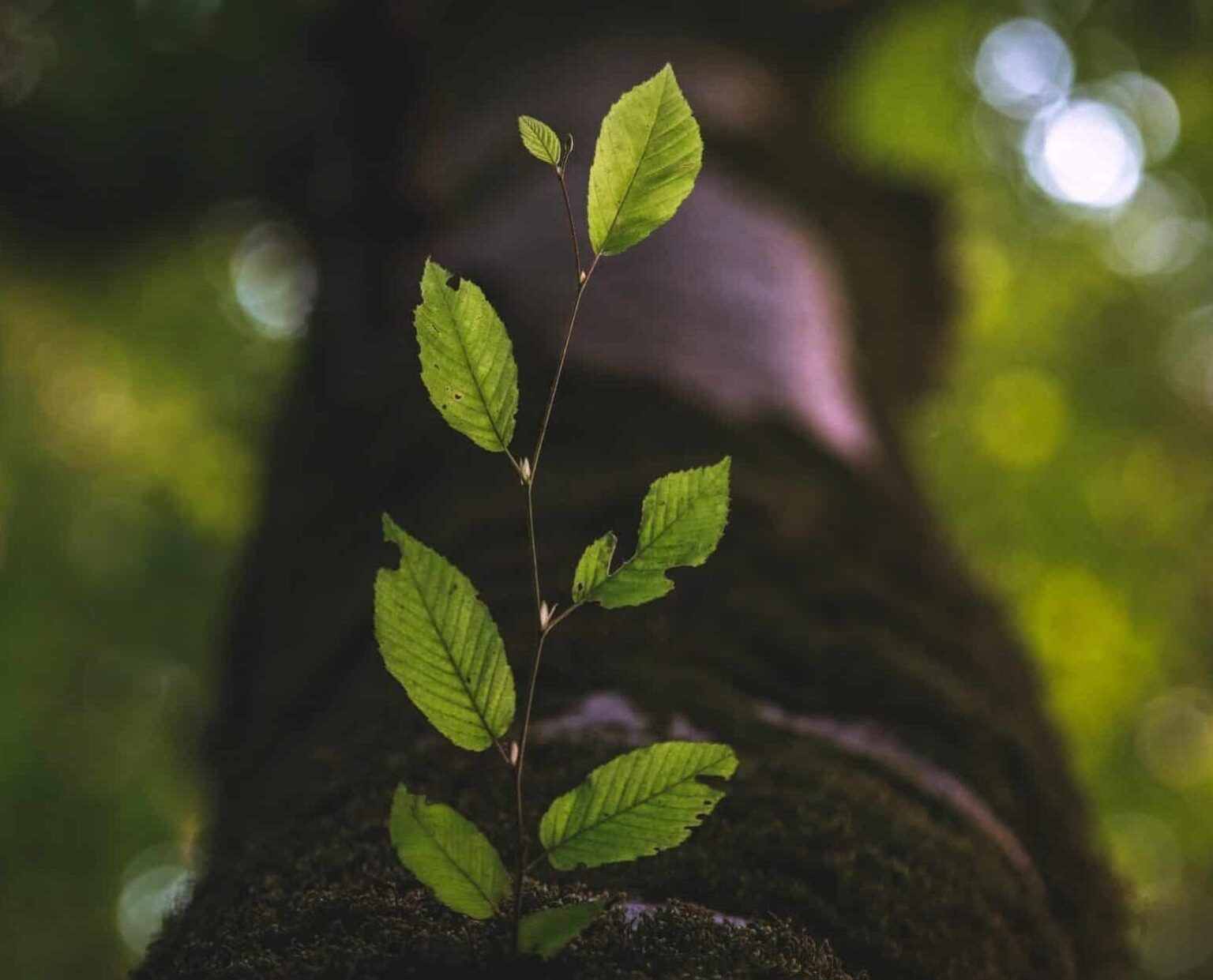 Product Manager Skills You Need for Growth | Pragmatic Institute ...