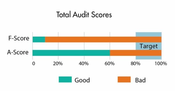 Product Management Audit: Early-Stage Companies | Pragmatic Institute