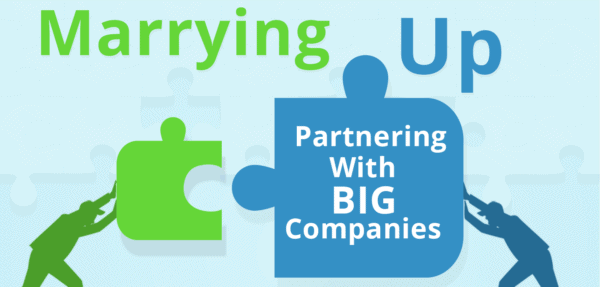 Partnering With Big Companies: 11 Considerations | Pragmatic Institute